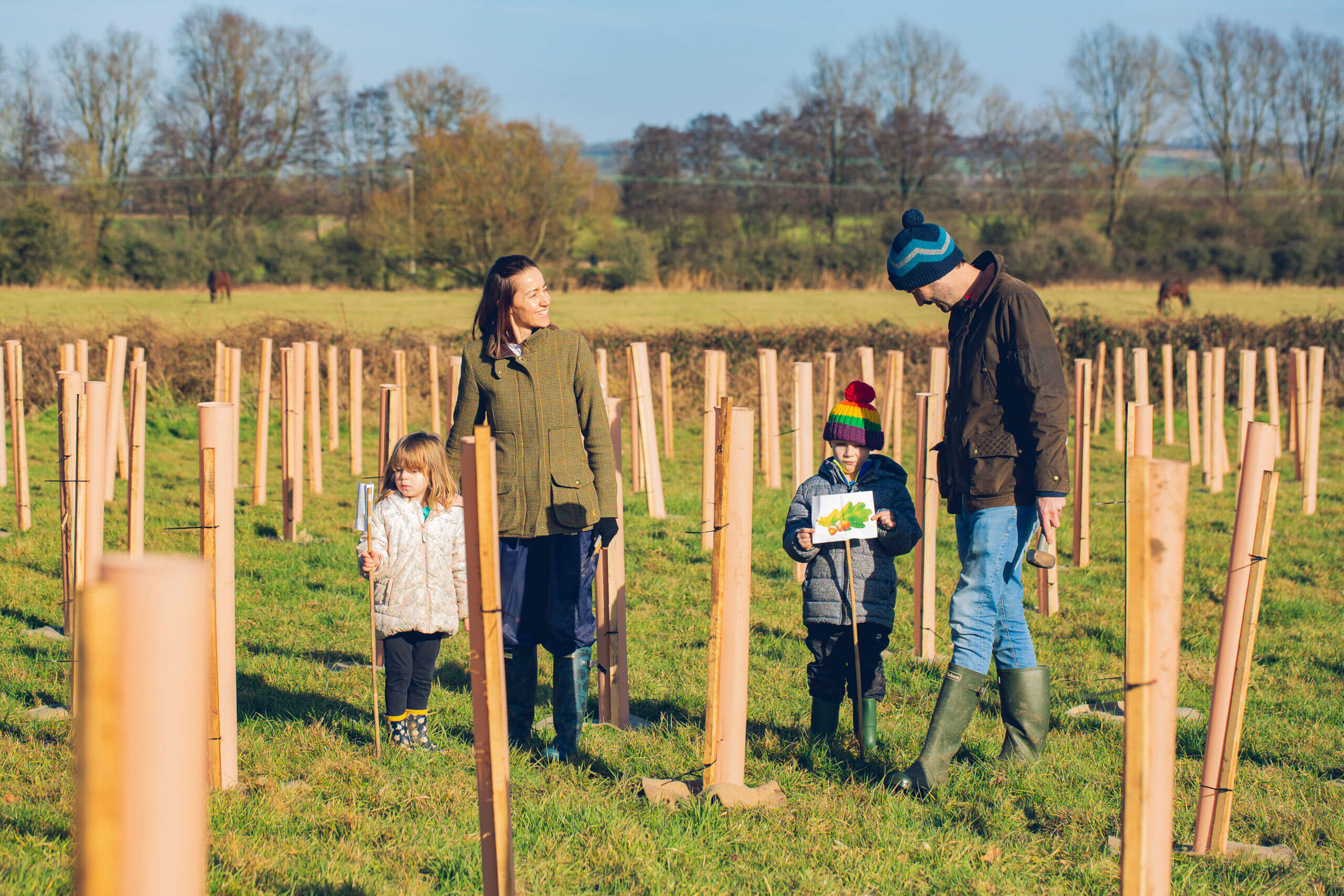 Councils - Avon Needs Trees